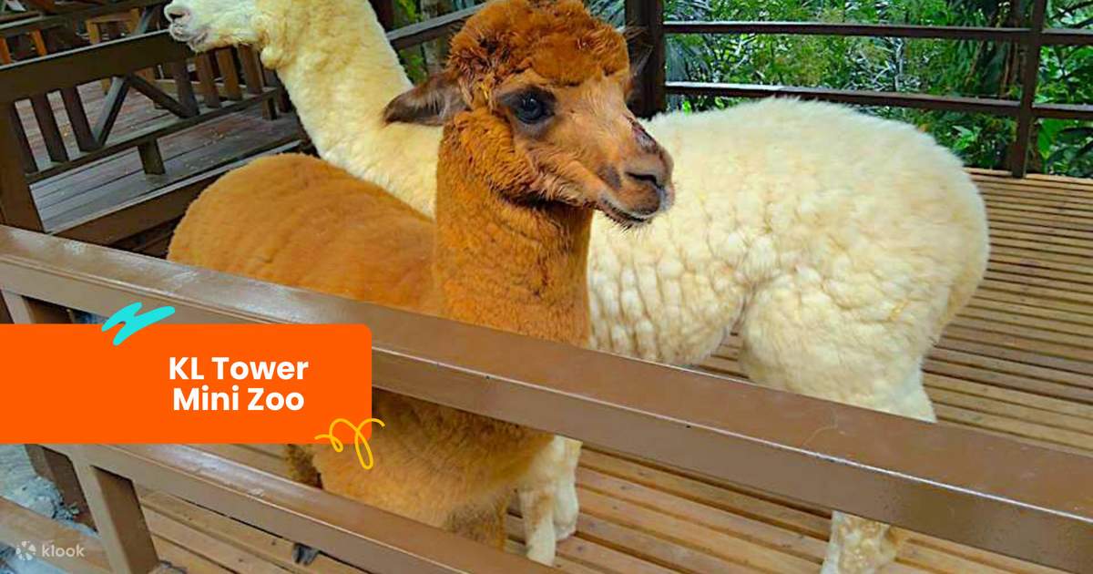 [Klook Exclusive] Kuala Lumpur Multi Attractions Pass - Bundle & Save! | Klook